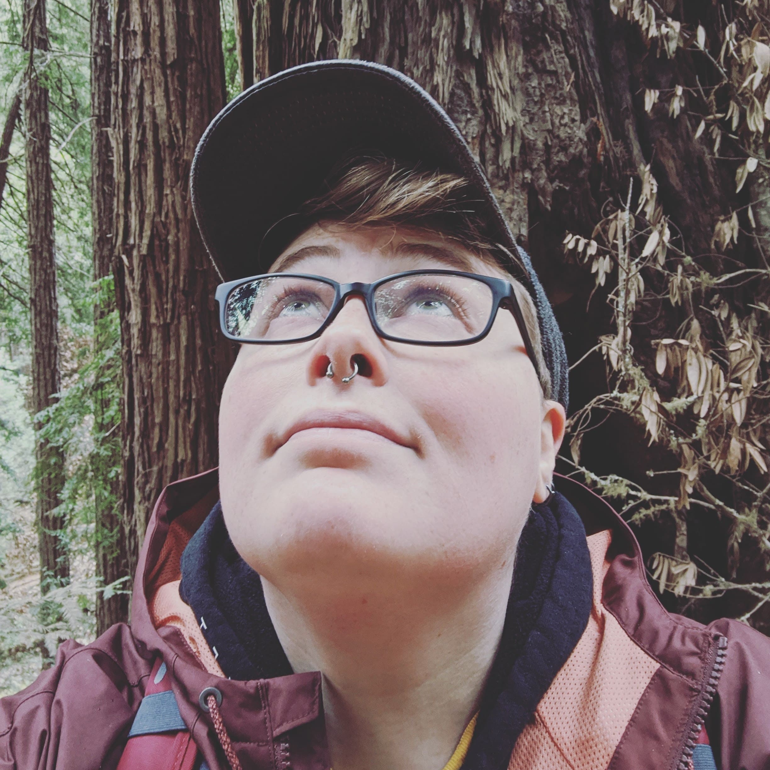 About – reid lewis dot org